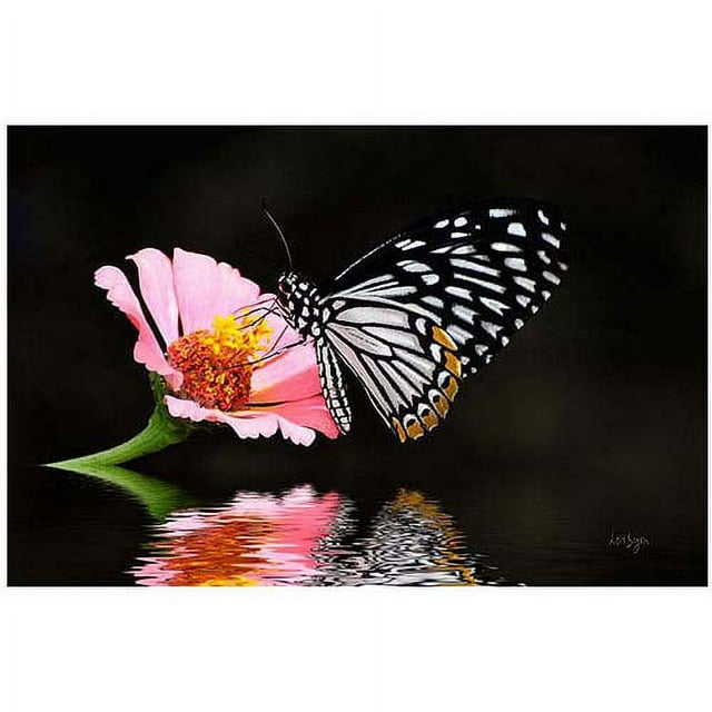 Trademark Fine Art "Cliche" Canvas Art by Lois Bryan - Walmart.com