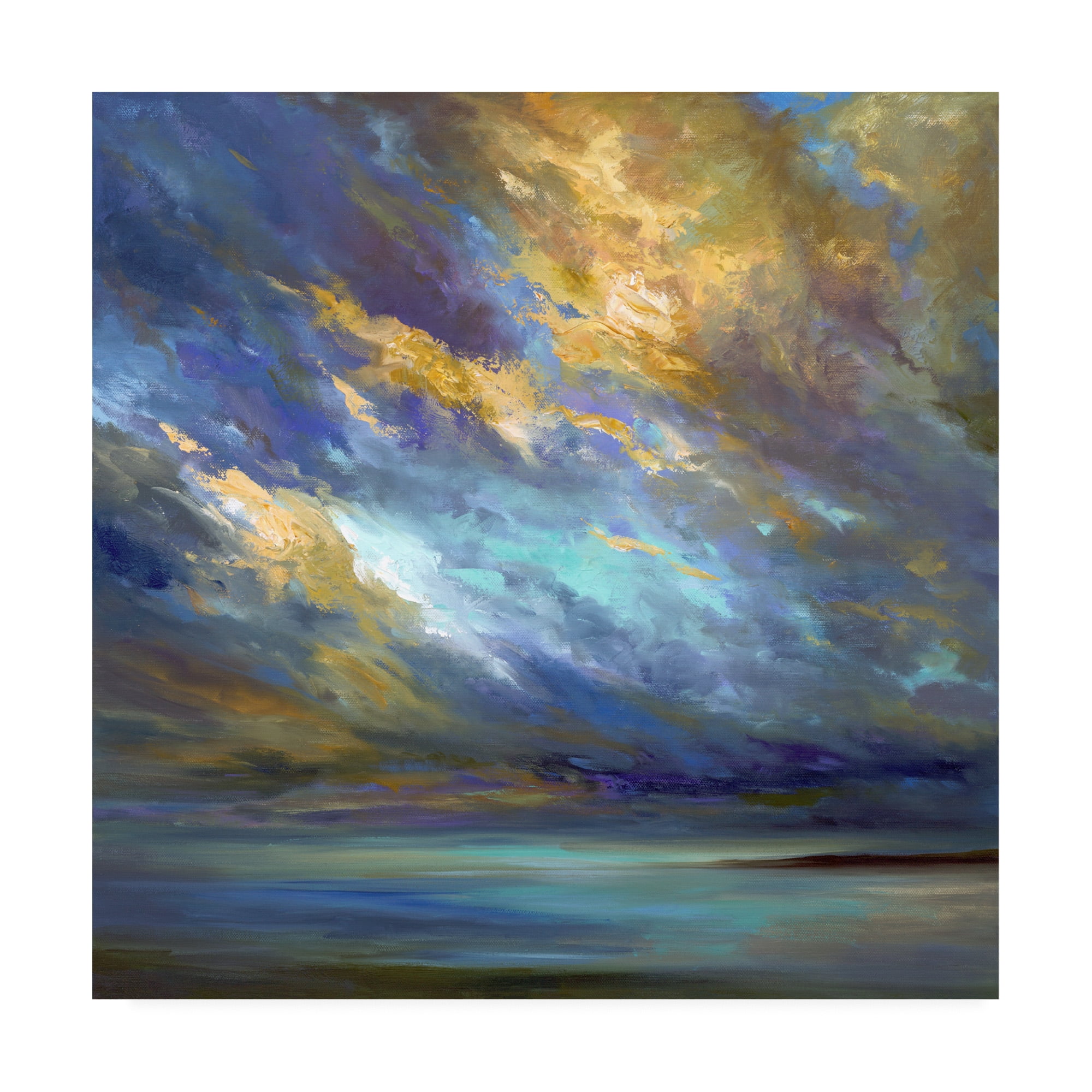 Trademark Fine Art 'Coastal Clouds 30' Canvas Art by Sheila Finch ...