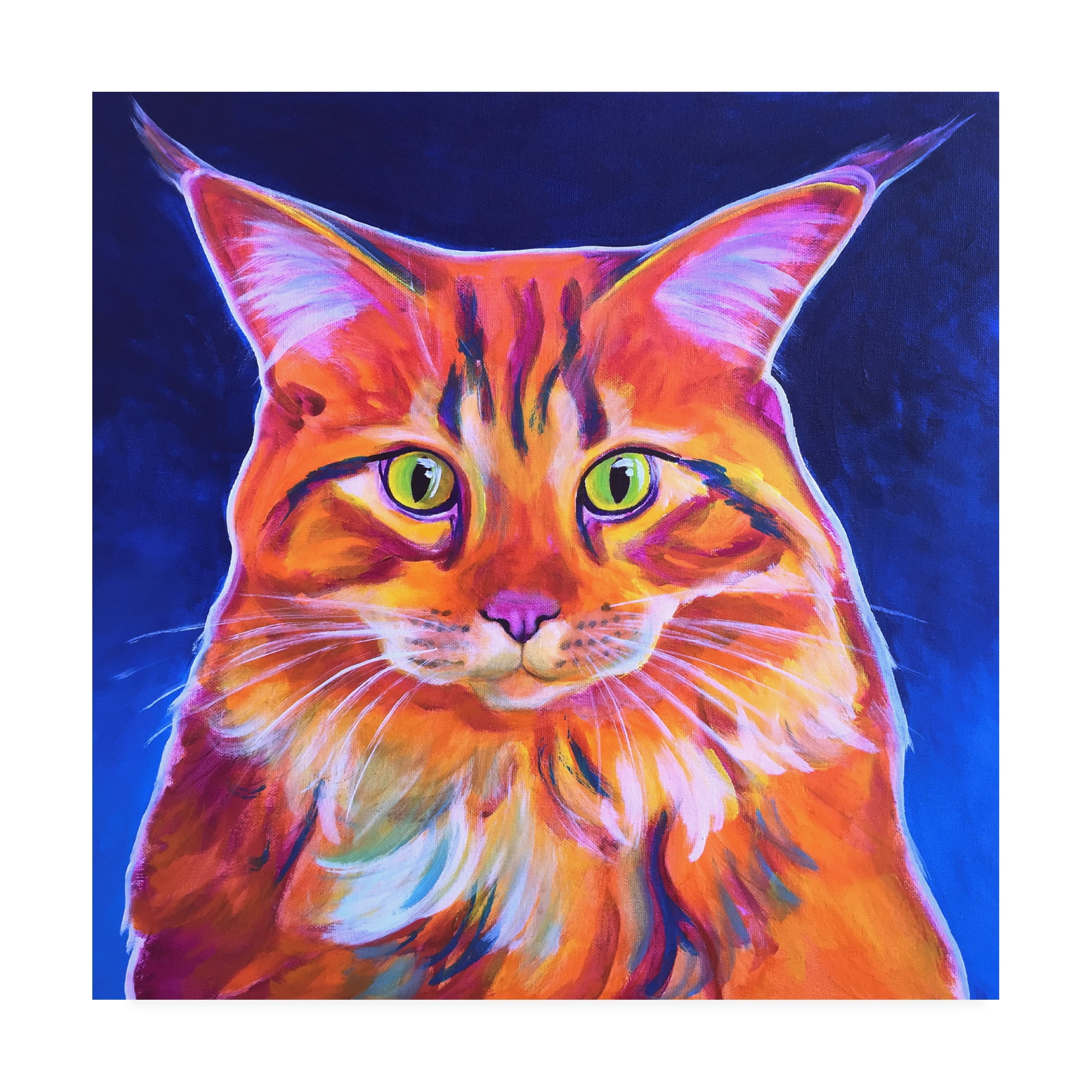 Trademark Fine Art 'Cosmo Pet Cat' Canvas Art by DawgArt - Walmart ...