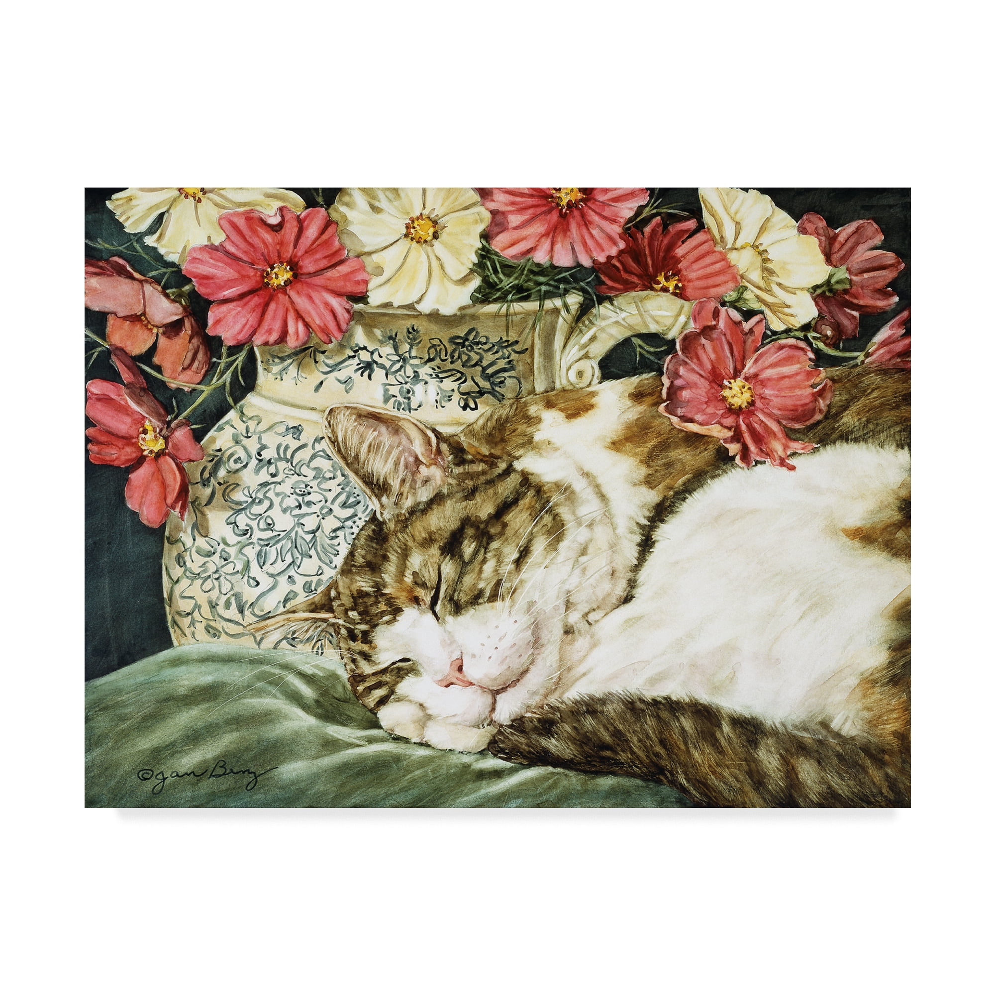 Trademark Fine Art 'Cosmos Dreams' Canvas Art by Jan Benz - Walmart ...