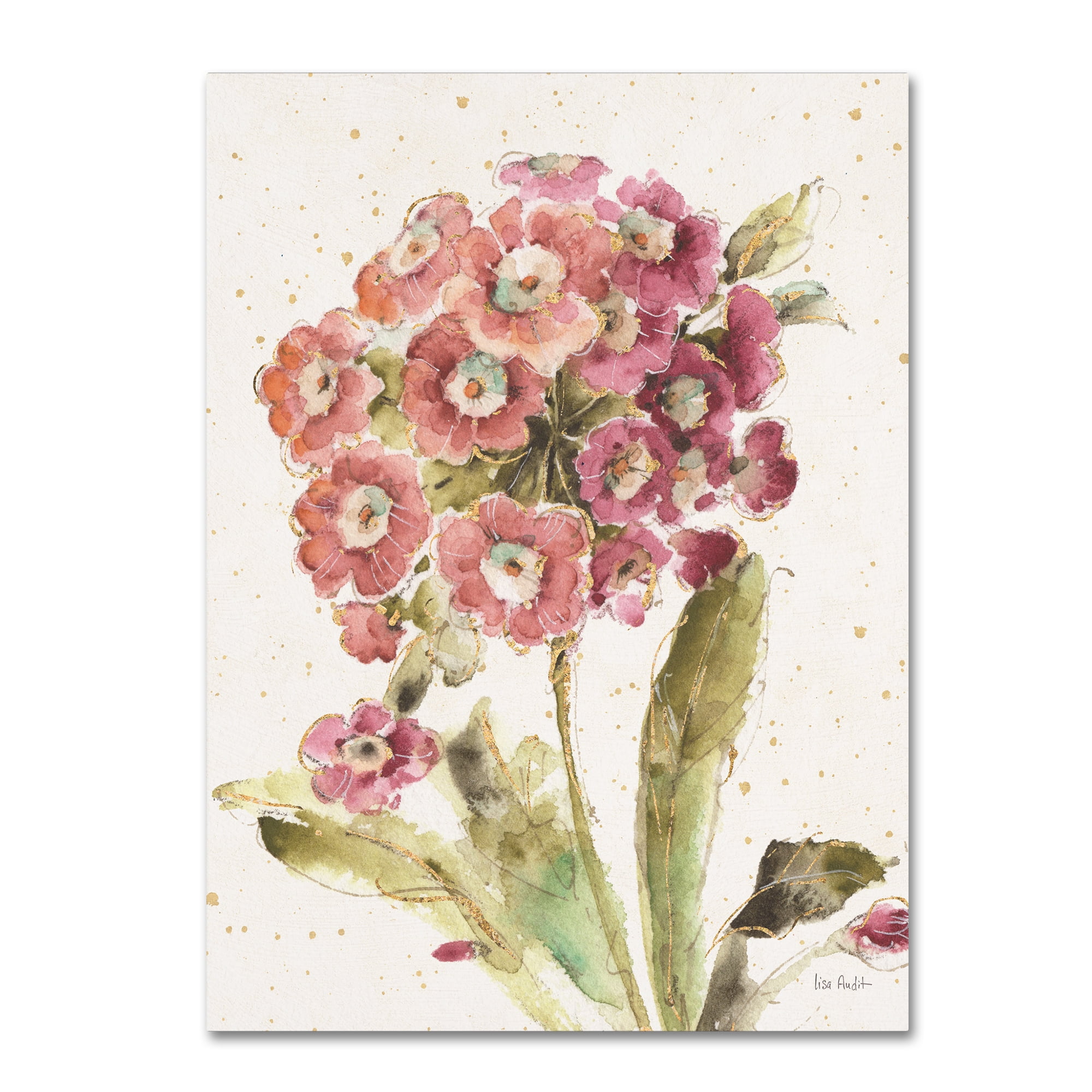 Trademark Fine Art 'Country Bloom II' Canvas Art by Lisa Audit ...