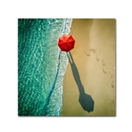 Trademark Fine Art 'Ocean Curiosities I' Canvas Art by DeKay - Walmart.com