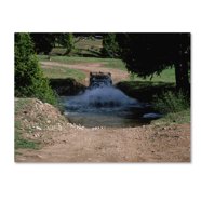 Trademark Fine Art 'Sunny Stag' Canvas Art by Robert Farkas - Walmart.com