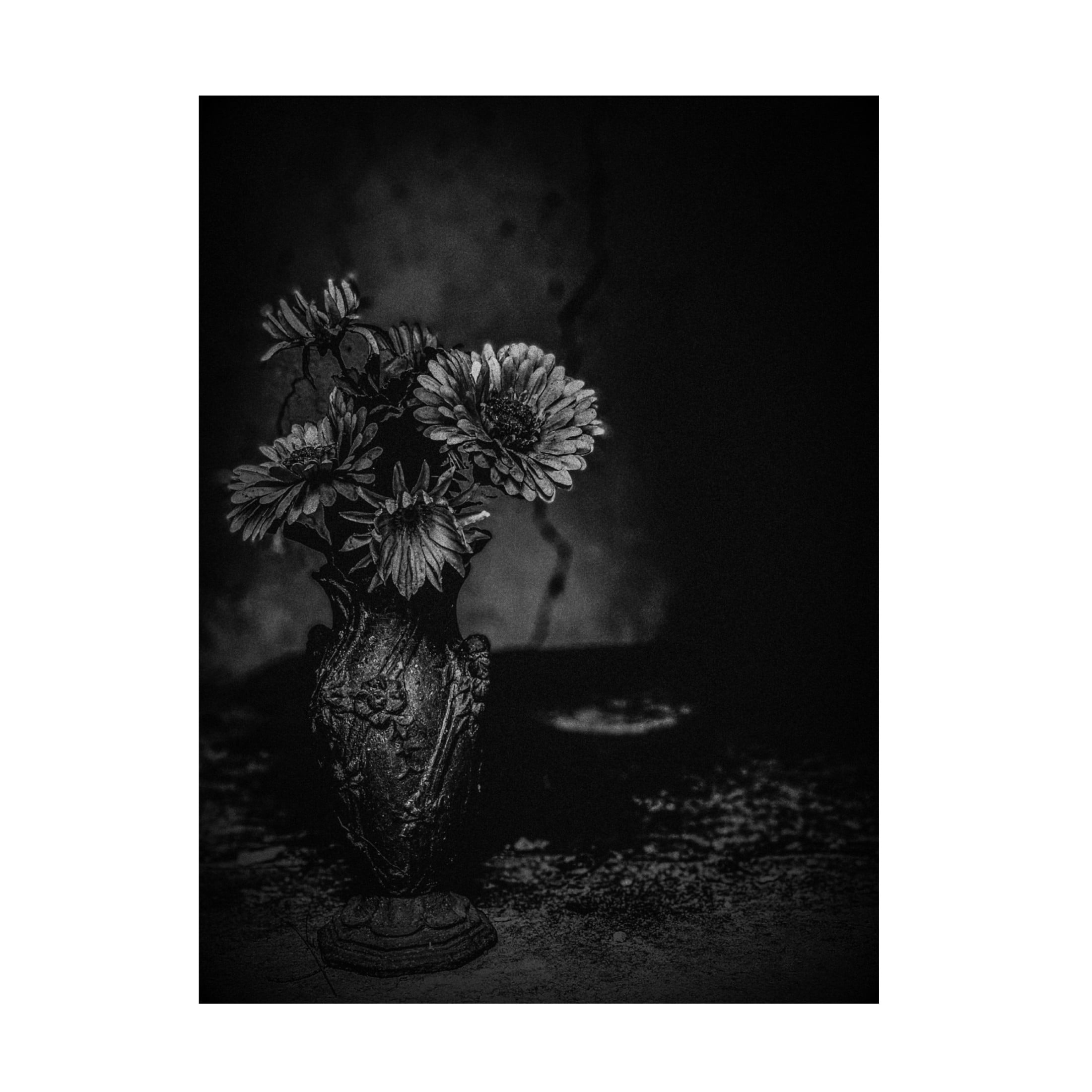 Trademark Fine Art Delphine Margau The Cracks Canvas Wall Art - Walmart.com