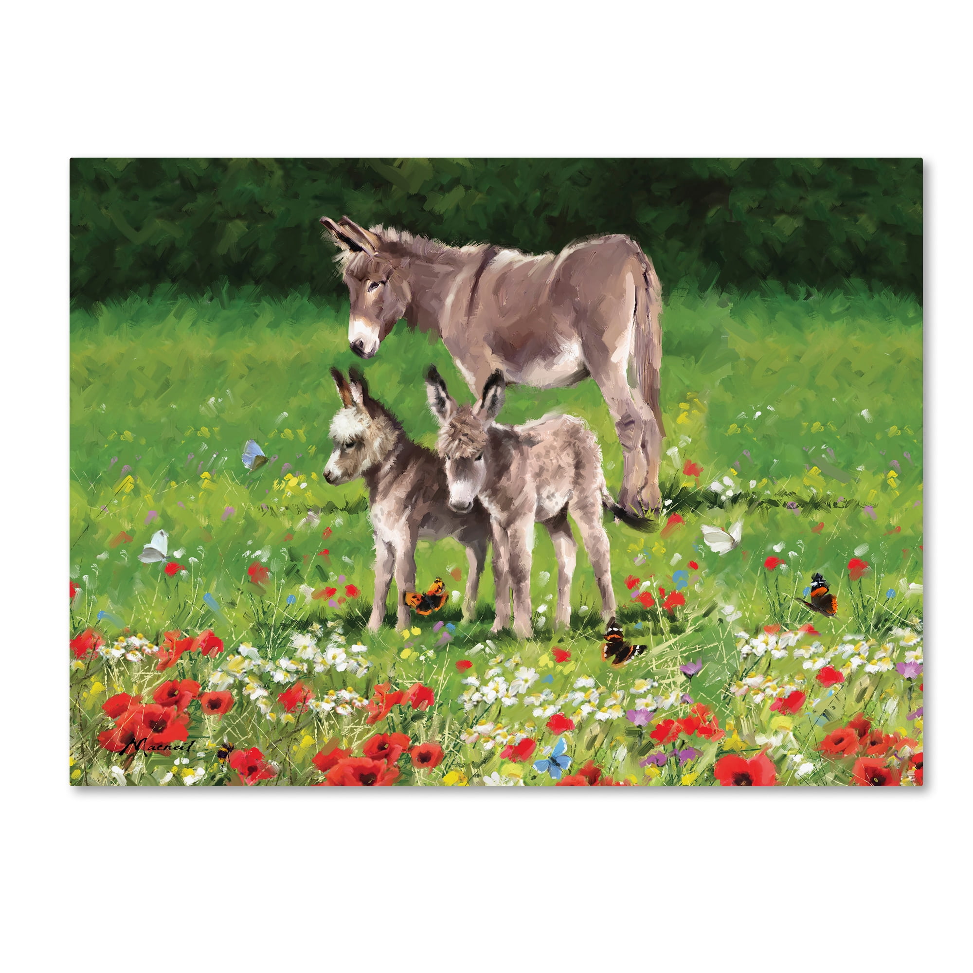 Trademark Fine Art 'Donkeys Landscape' Canvas Art by The Macneil Studio ...