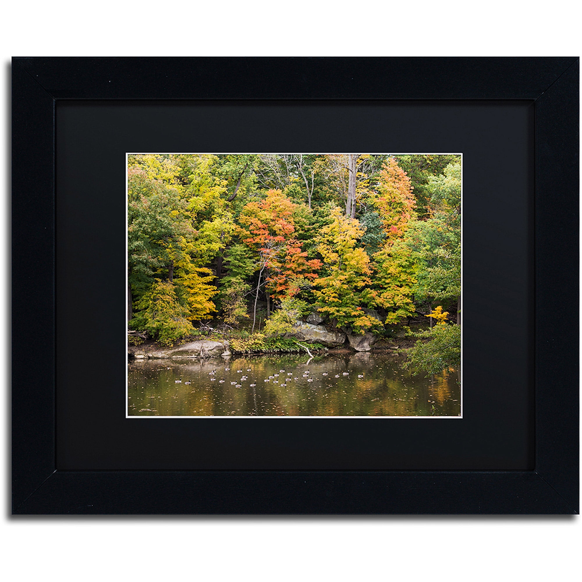 Trademark Fine Art "Early Fall" Canvas Art by Kurt Shaffer, Black Matte ...