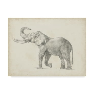 Trademark Fine Art Ethan Harper Oyster Study I Canvas Wall Print Still ...