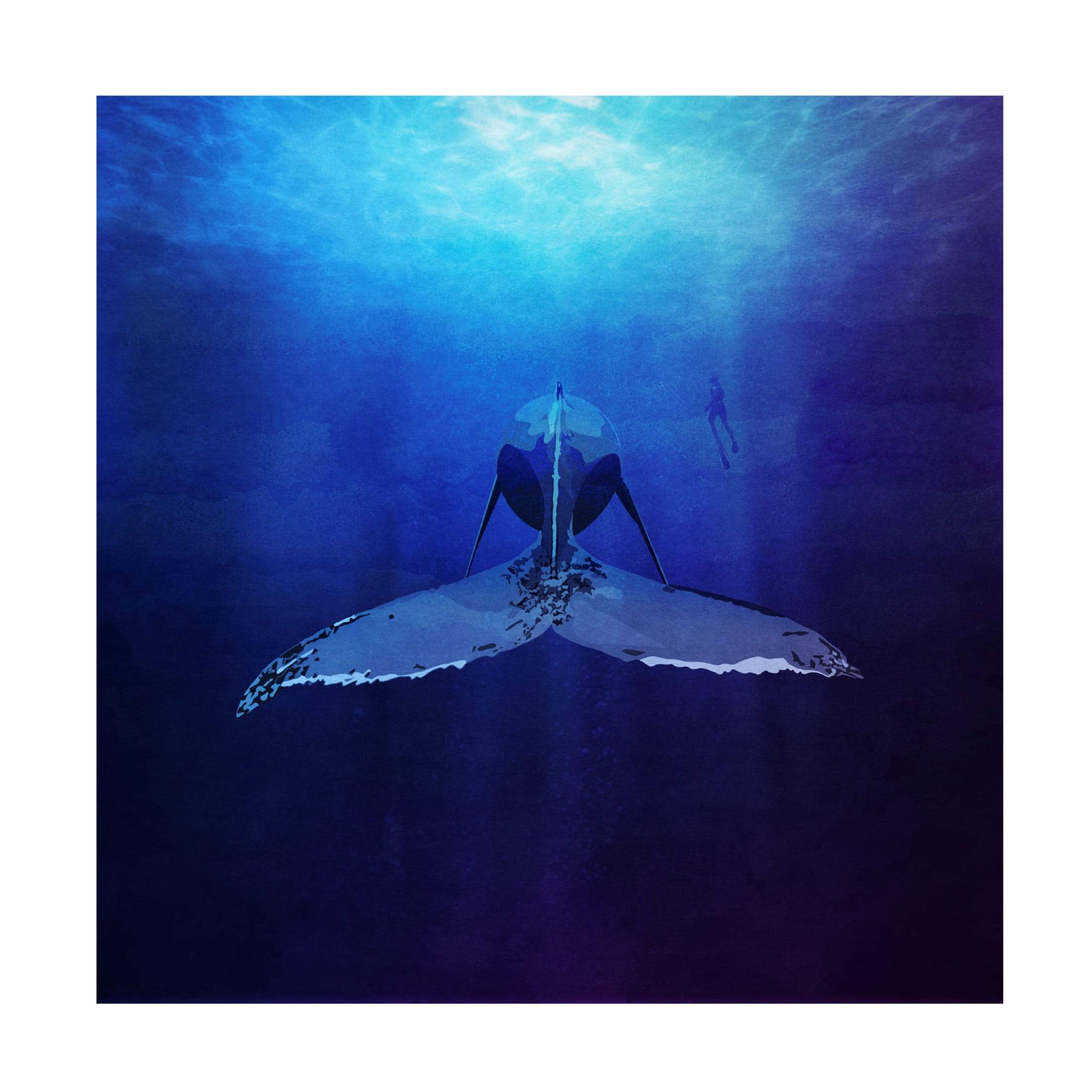 Trademark Fine Art Emel Tunaboylu Whale Canvas Wall Art - Walmart.com