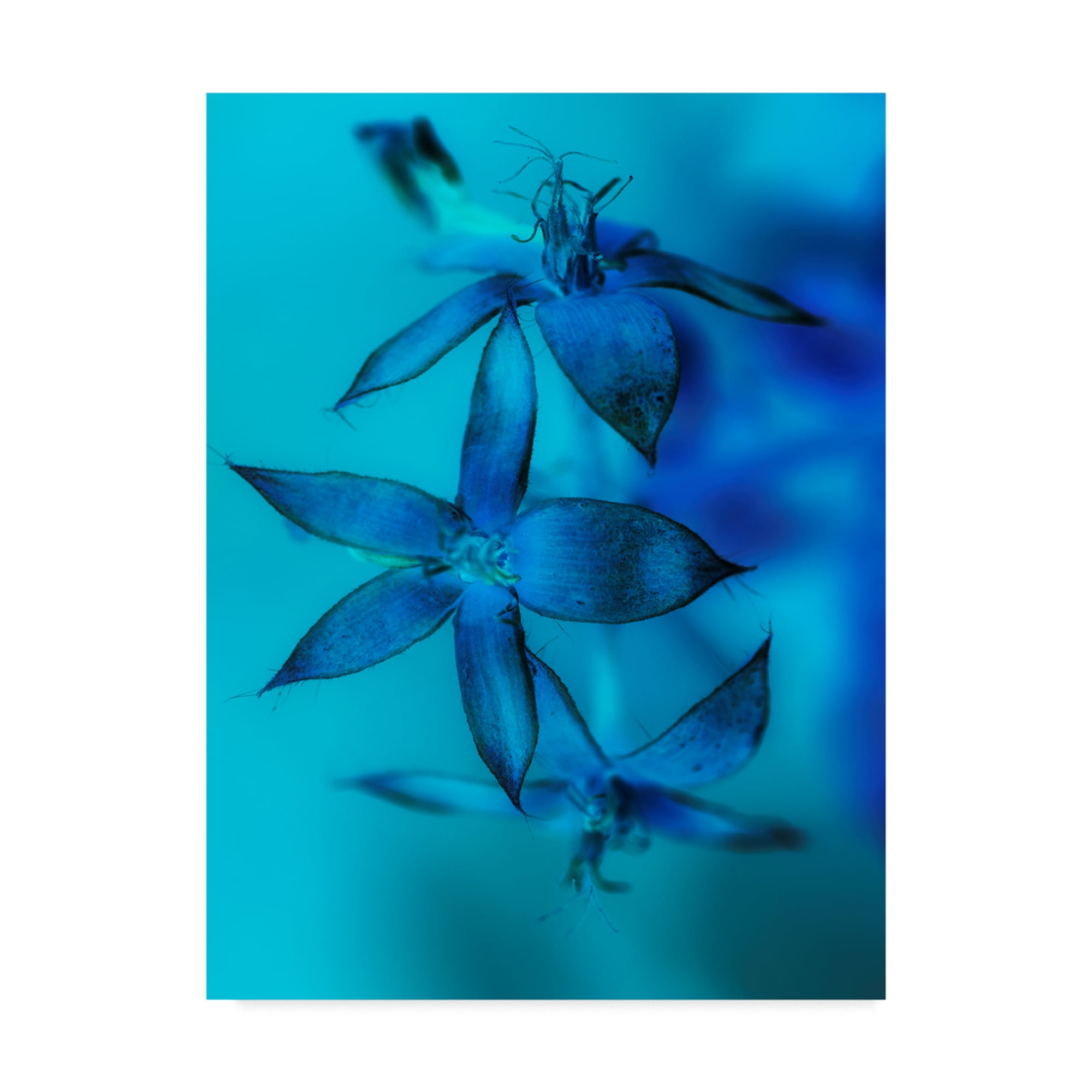 Trademark Fine Art 'Falling Forward I' Canvas Art by Teton Parchment ...