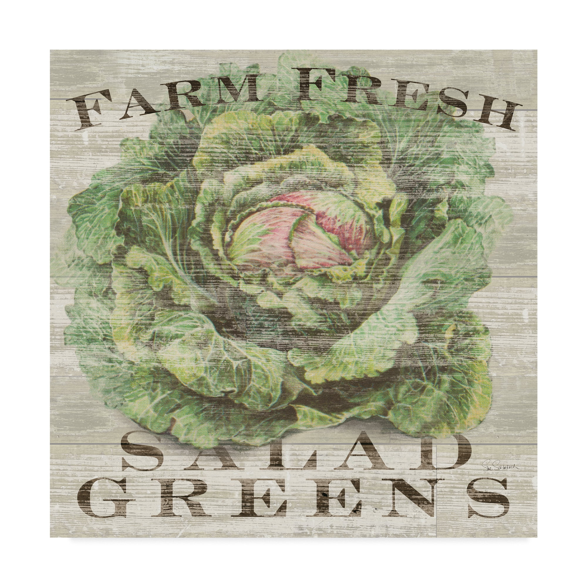 Trademark Fine Art 'Farm Fresh Greens' Canvas Art by Sue Schlabach ...
