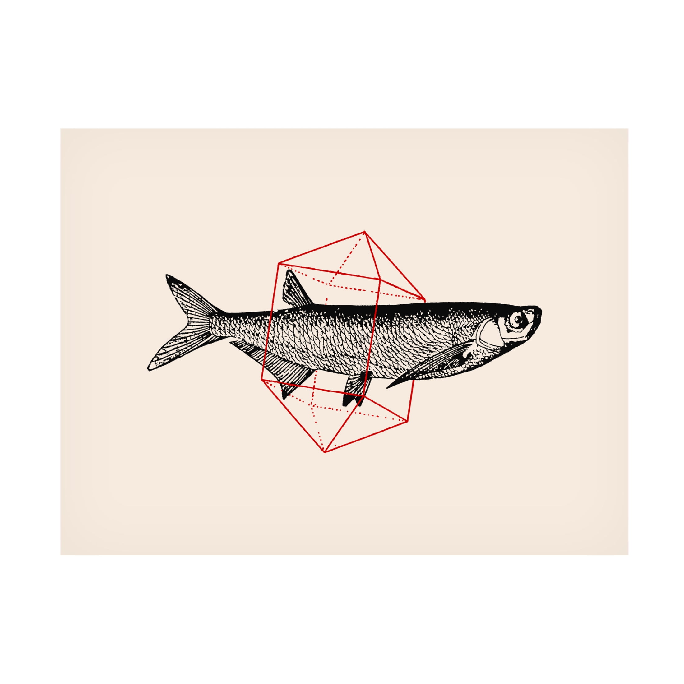 Trademark Fine Art Florent Bodart Fish Geometric Canvas Wall Art for ...