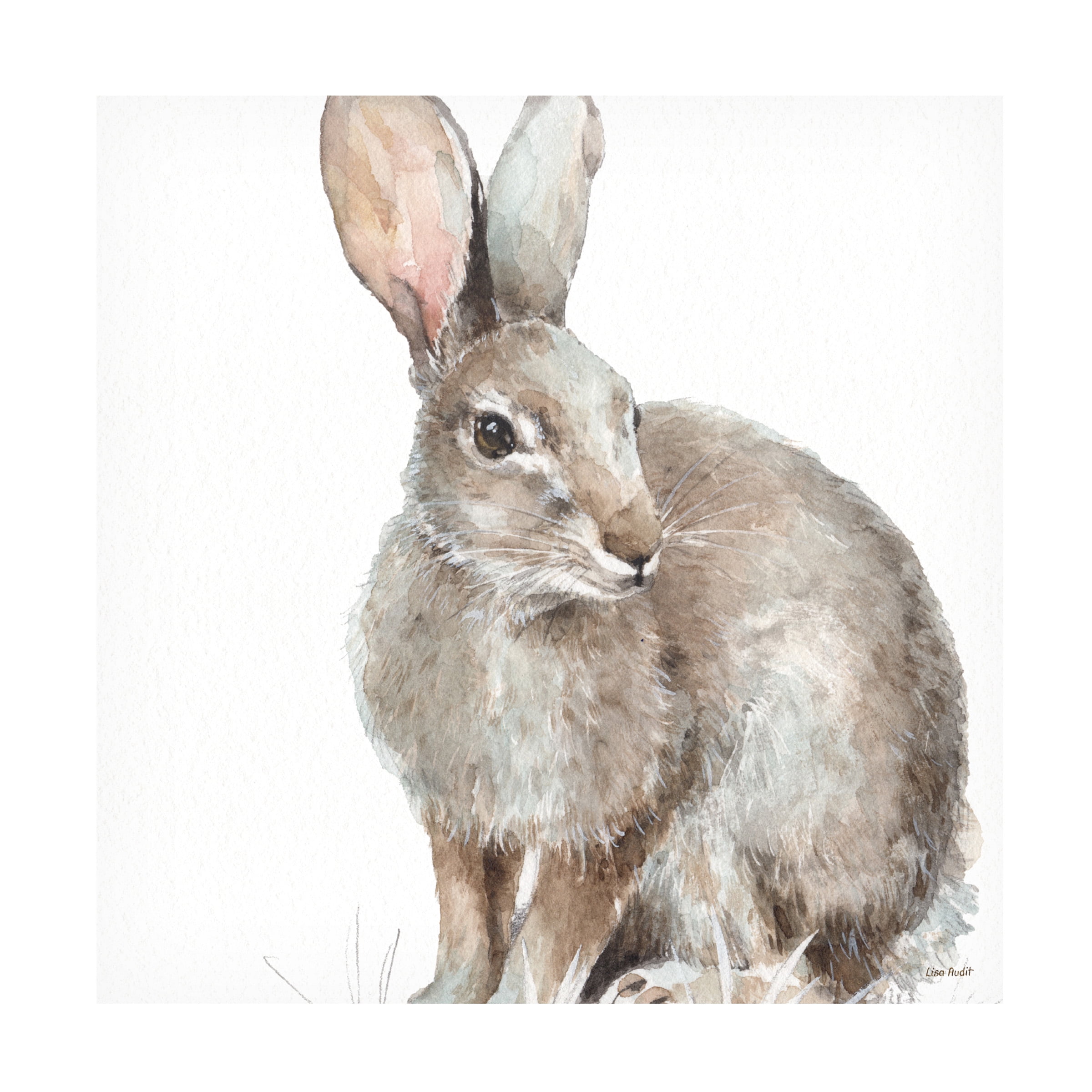 Trademark Fine Art 'Forest Friends II Soft Shade' Canvas Art by Lisa ...