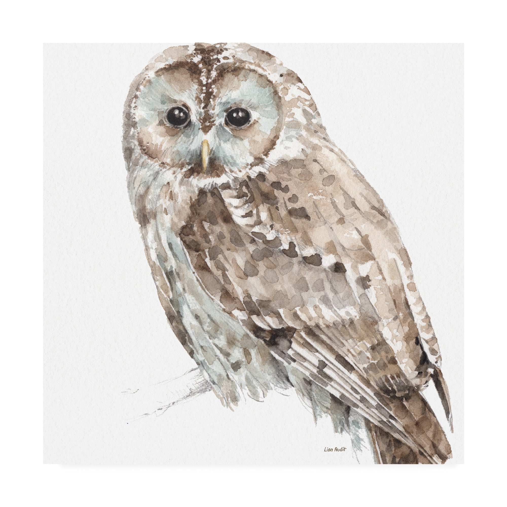 Trademark Fine Art 'Forest Friends III Soft Shade' Canvas Art by Lisa ...