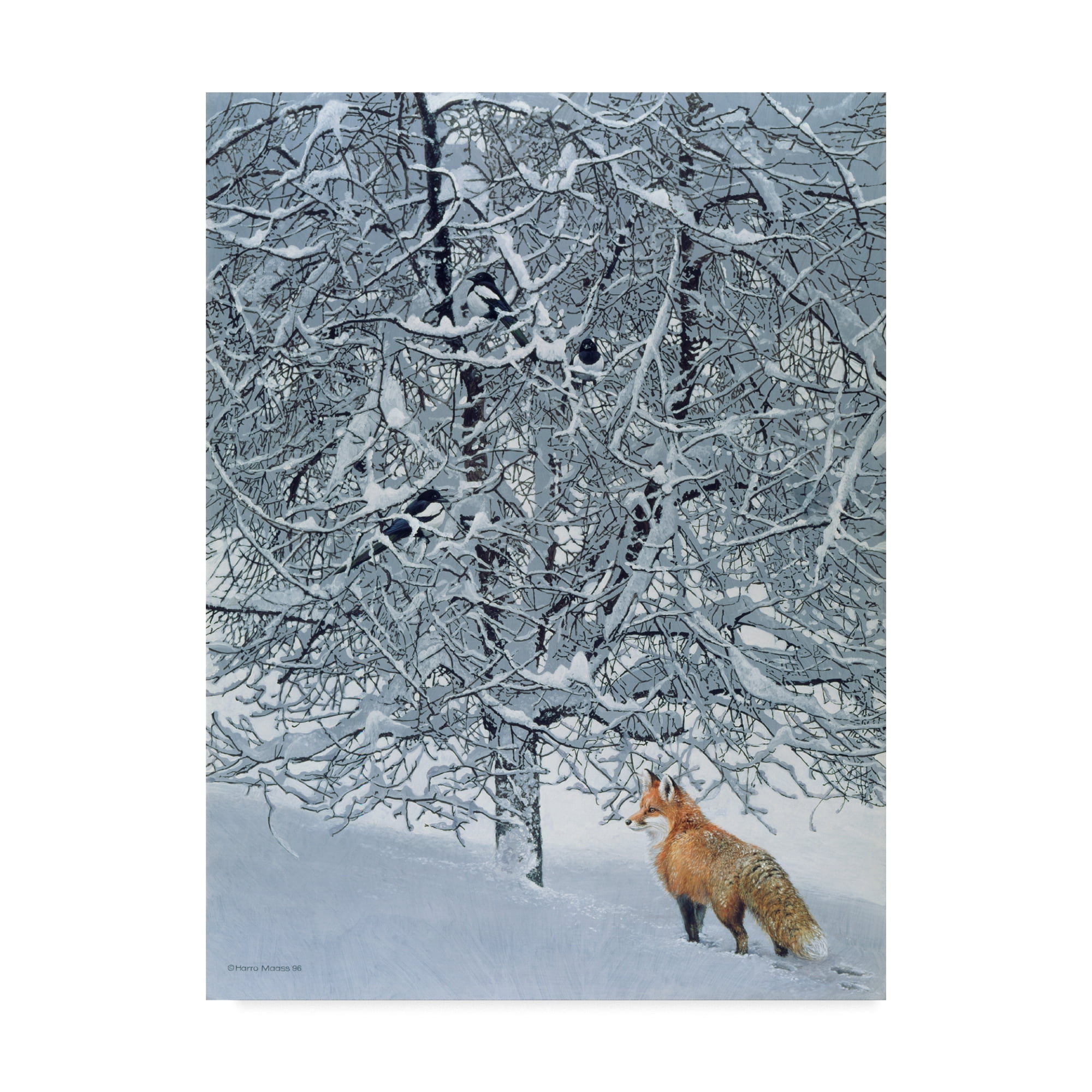 Trademark Fine Art 'Fox In Snow' Canvas Art by Harro Maass - Walmart.com