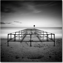 Trademark Fine Art 'Alone As A Wolf' Canvas Art by Robert Farkas ...