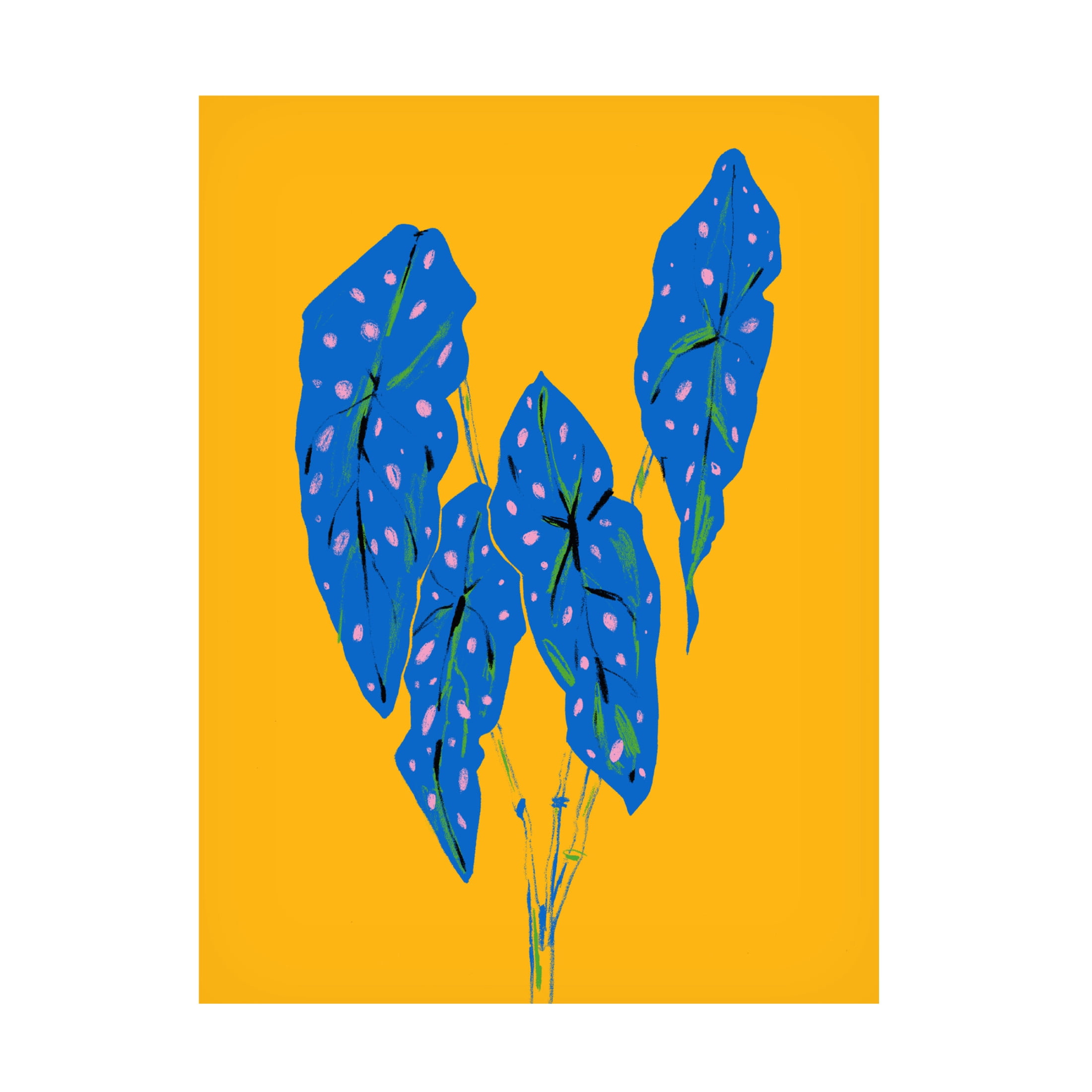 Trademark Fine Art Francesco Gulina Begonia Maculata Blue and Yellow ...