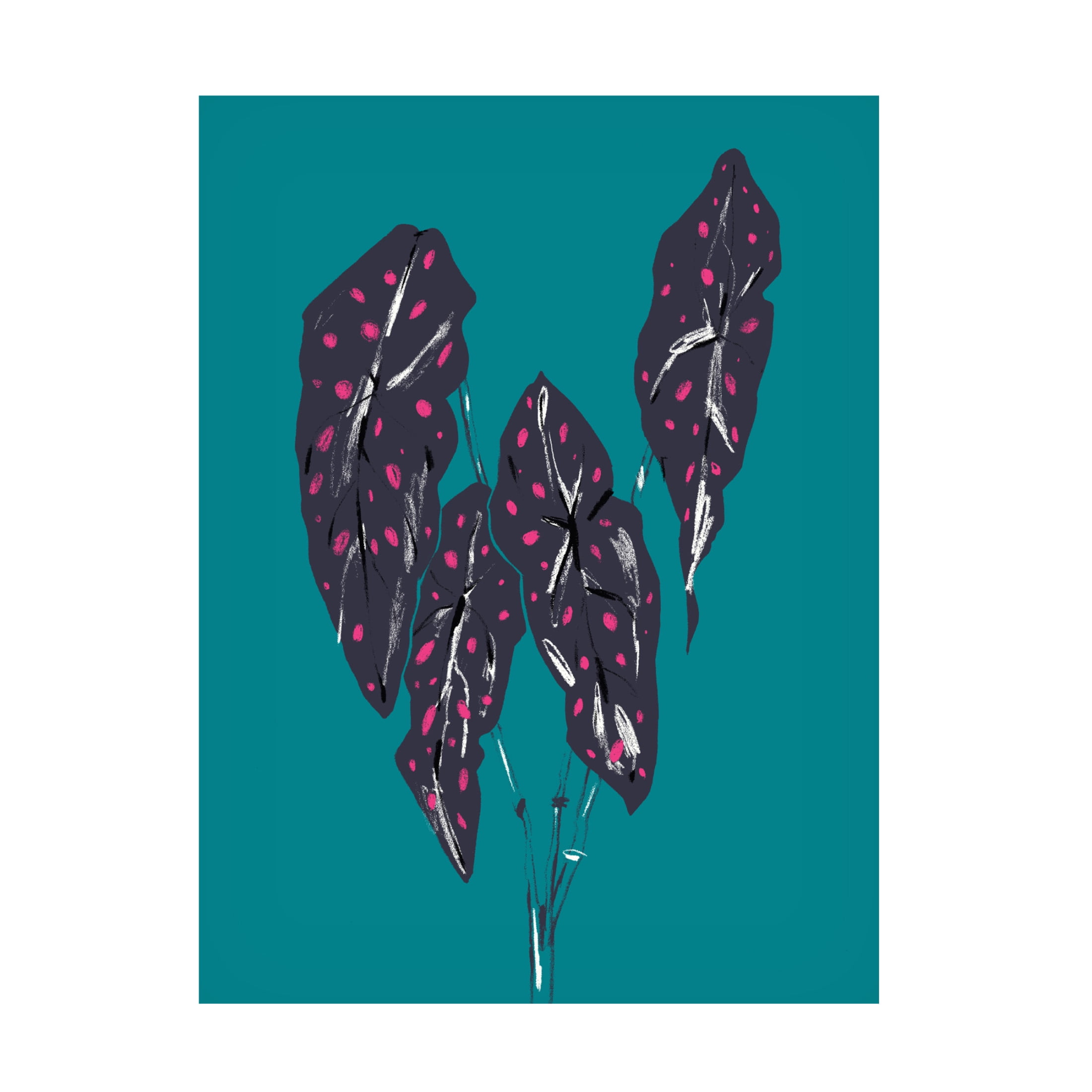 Trademark Fine Art Francesco Gulina Begonia Maculata Dark Canvas Wall ...