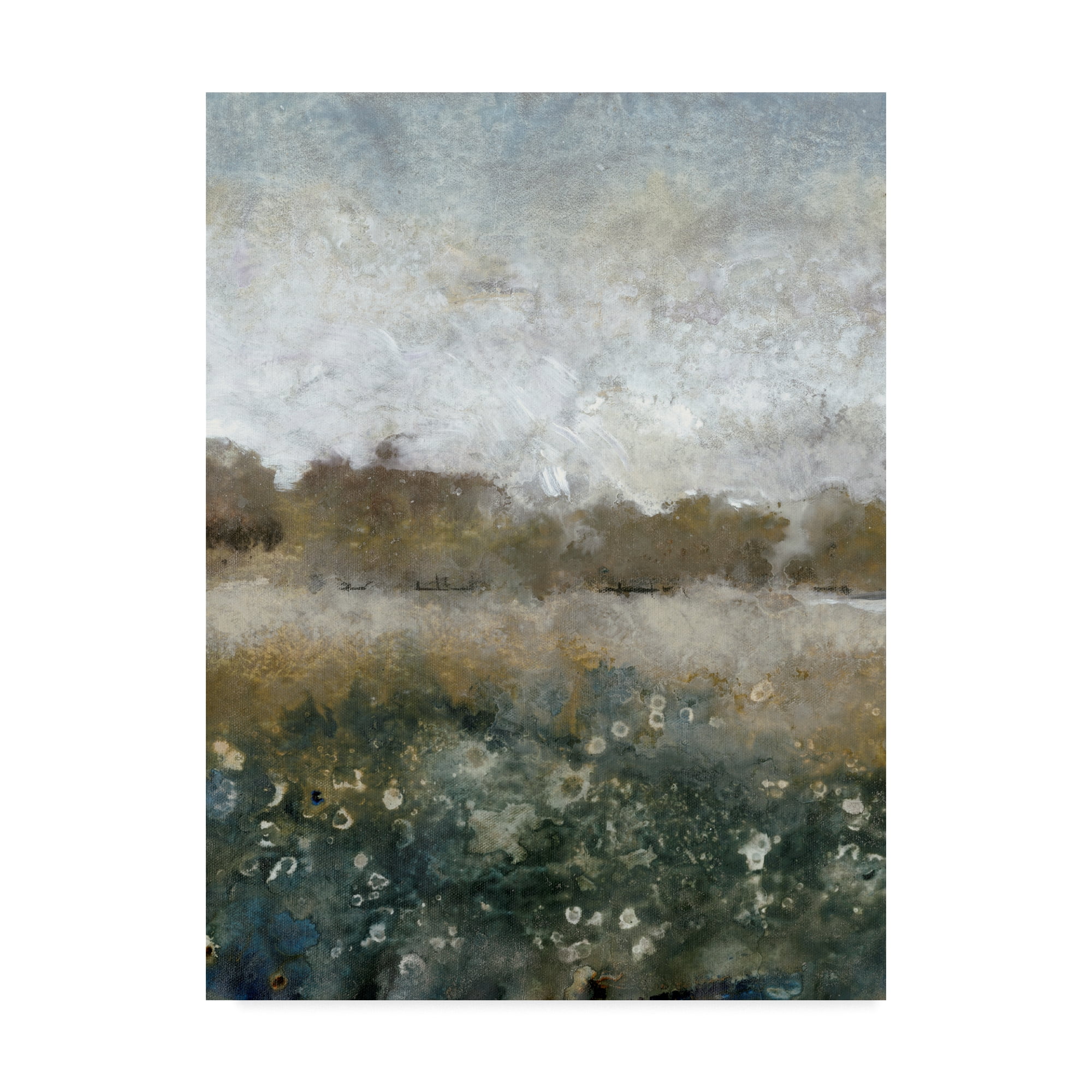 Trademark Fine Art 'Free Range IV' Canvas Art by Tim OToole - Walmart.com