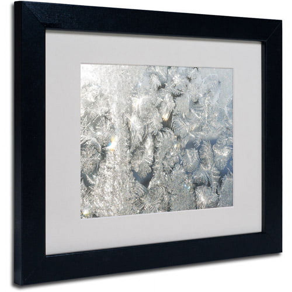 Trademark Fine Art "Frost Pattern in the Sun" Canvas Art by Kurt ...