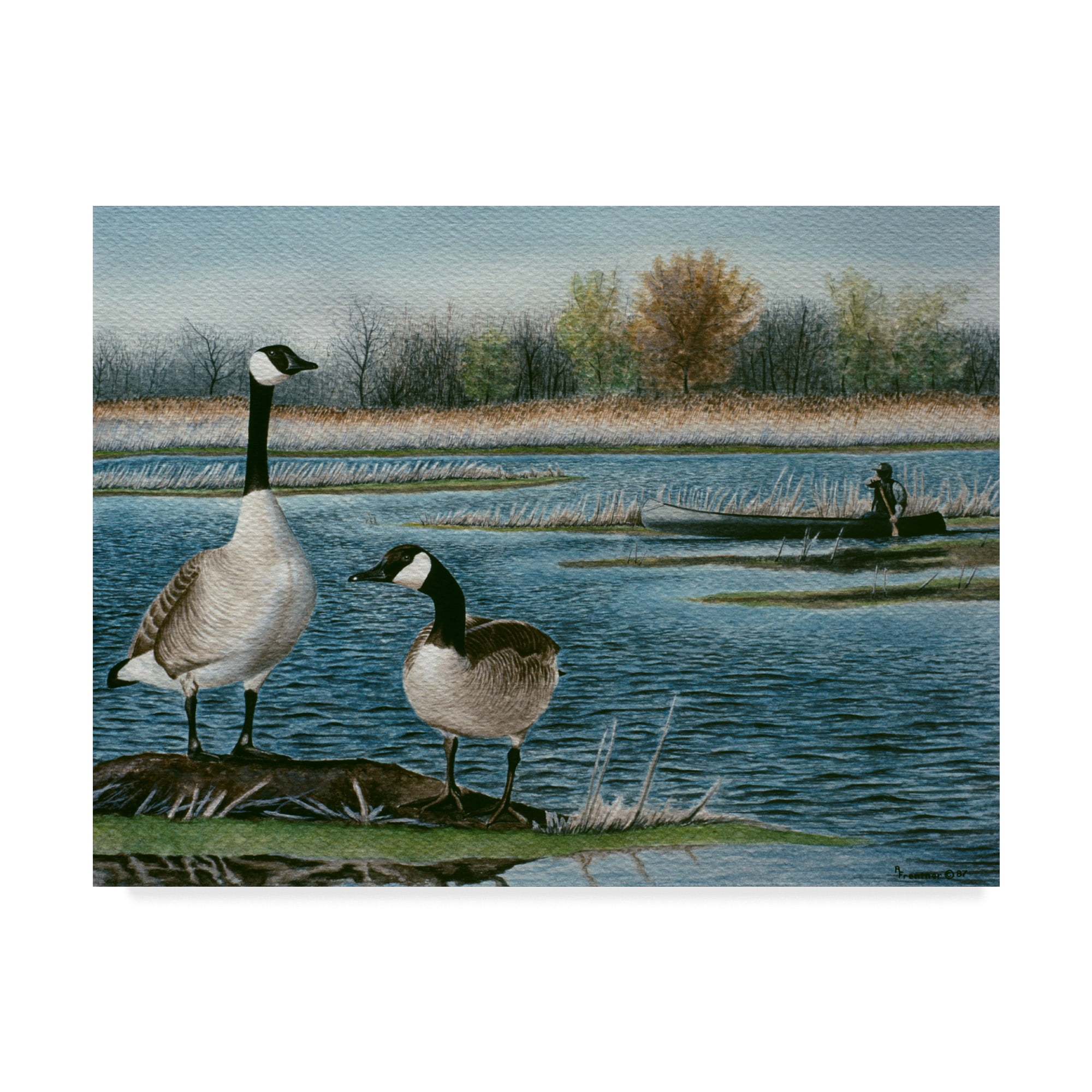 Trademark Fine Art 'Gander Study' Canvas Art by Rusty Frentner ...