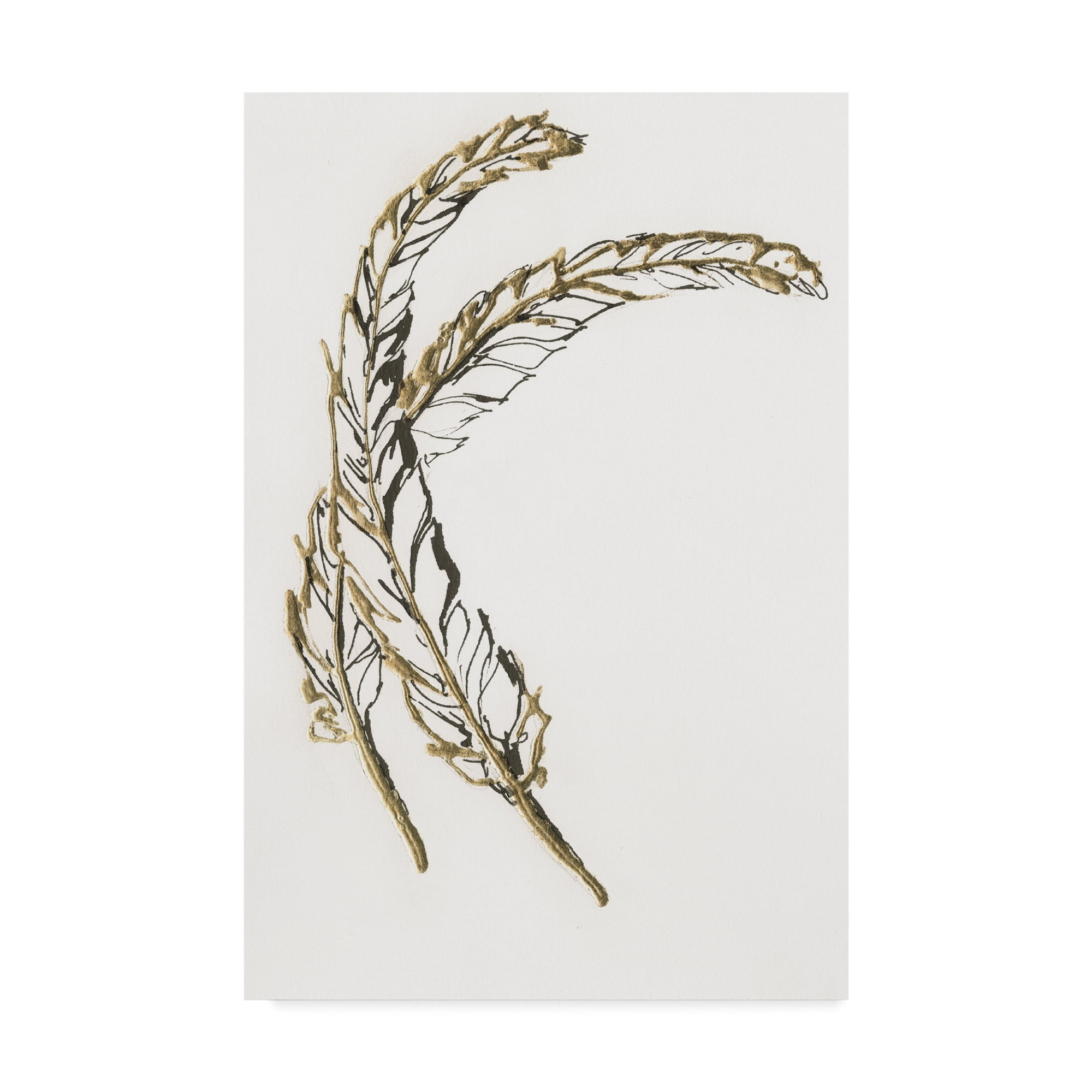 Trademark Fine Art 'Gilded Hackles Feather' Canvas Art by Chris Paschke ...