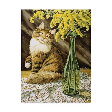 Trademark Fine Art 'Peonies And Lace' Canvas Art by Jan Benz - Walmart.com