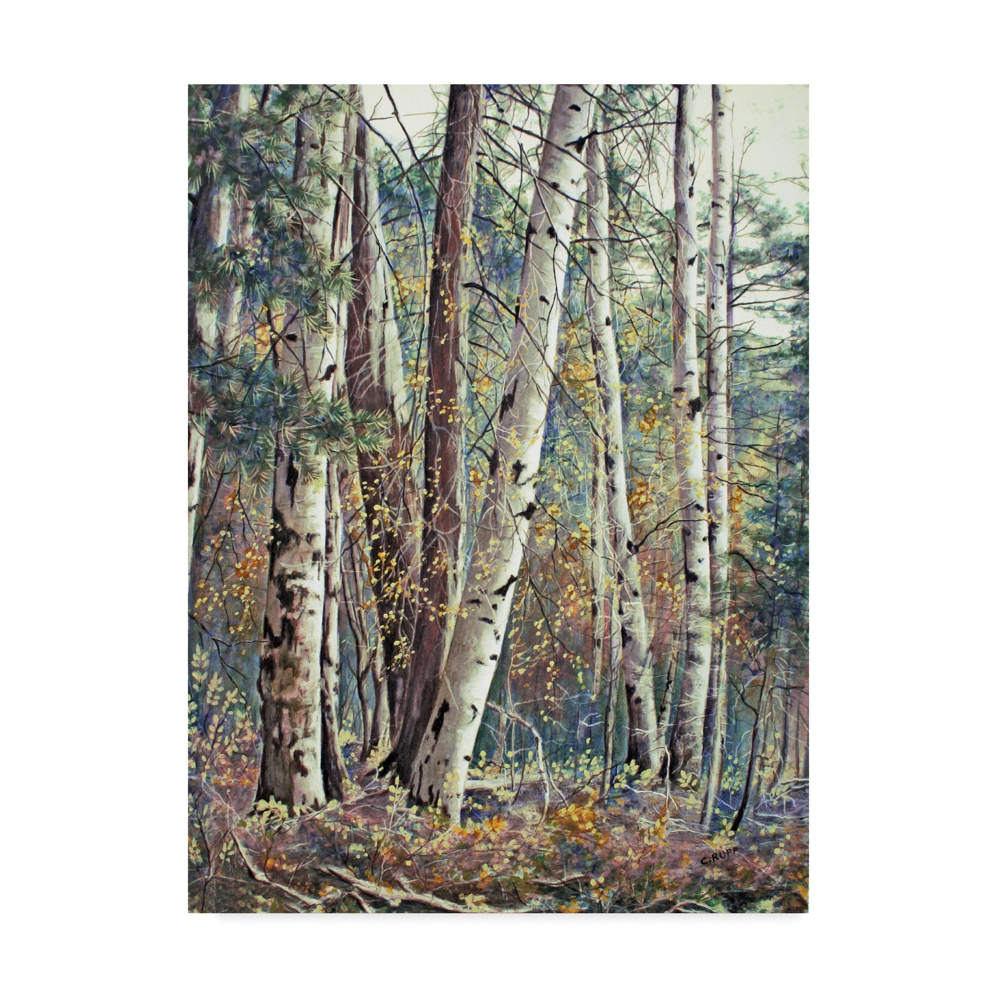 Trademark Fine Art Grace & Maturity Canvas Art - Walmart.com