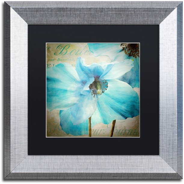 Trademark Fine Art "Himalayan Blue II" Canvas Art by Color Bakery Black Matte, Silver Frame ...