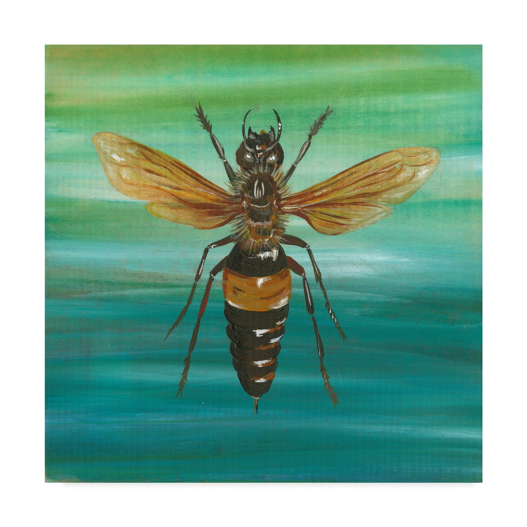 Trademark Fine Art 'Honey Bee Texture' Canvas Art by Gigi Begin ...