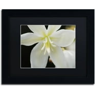 Trademark Fine Art "Pure" Canvas Art by Monica Mize, Black Matte, Black ...