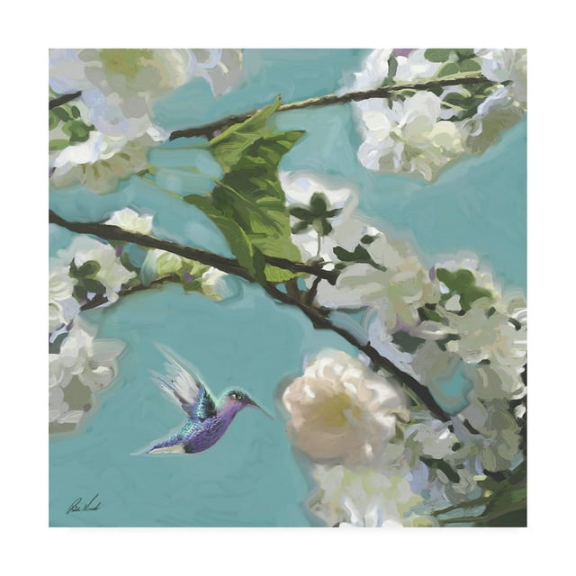 Trademark Fine Art 'Hummingbird Florals II' Canvas Art by Rick Novak ...