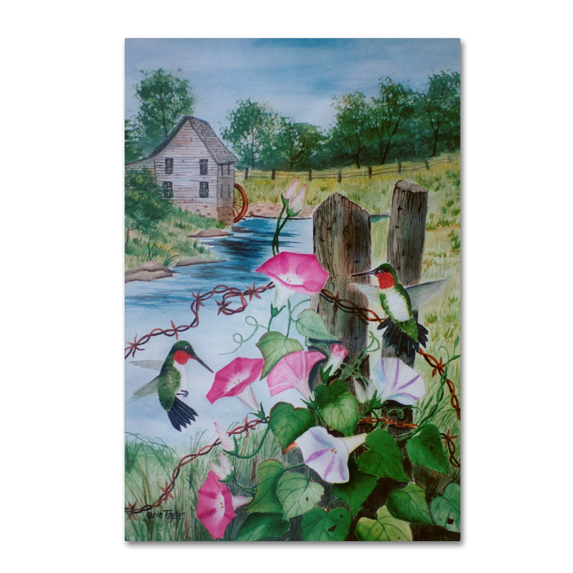 Trademark Fine Art 'Hummingbirds' Canvas Art by Arie Reinhardt Taylor ...