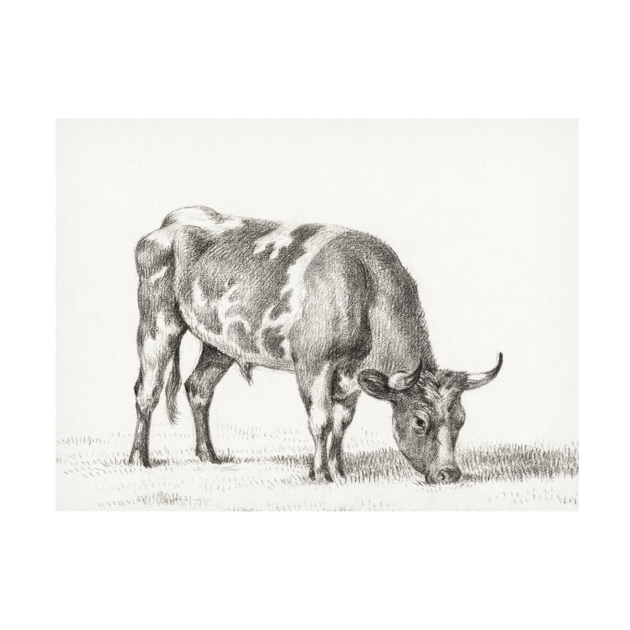 Trademark Fine Art Jean Bernard Bernard's Bull Renderings I Canvas Wall ...