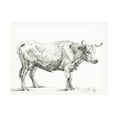 Trademark Fine Art Jean Bernard Bernard's Bull Renderings II Canvas ...