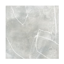 Trademark Fine Art June Erica Vess Misty Grove II Canvas Wall Art ...