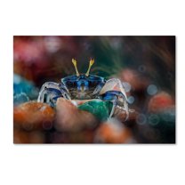 Trademark Fine Art 'A Rider' Canvas Art by Karl Bryullov - Walmart.com