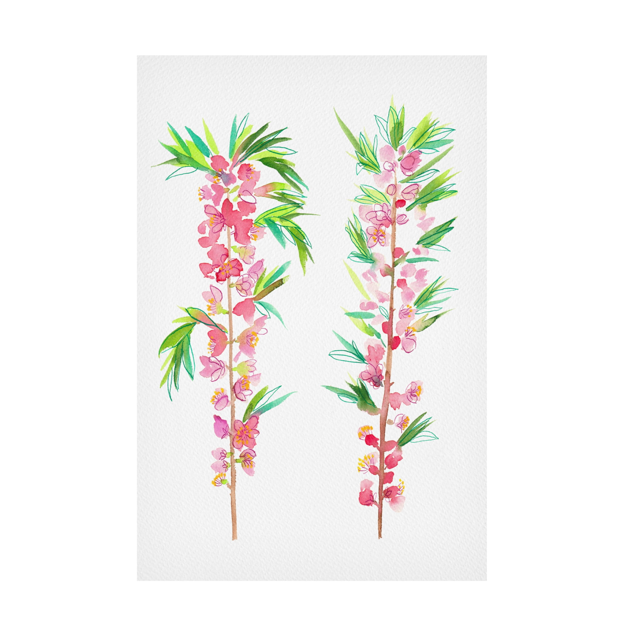 Trademark Fine Art Kata Botanical Dwarf Russian almond or Prunus ...