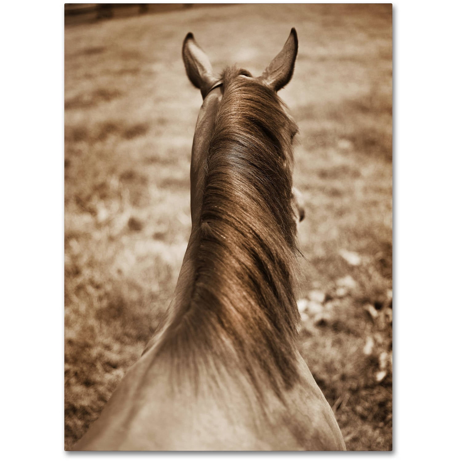 Trademark Fine Art "Kentucky Horsemane" Canvas Art by Preston - Walmart.com