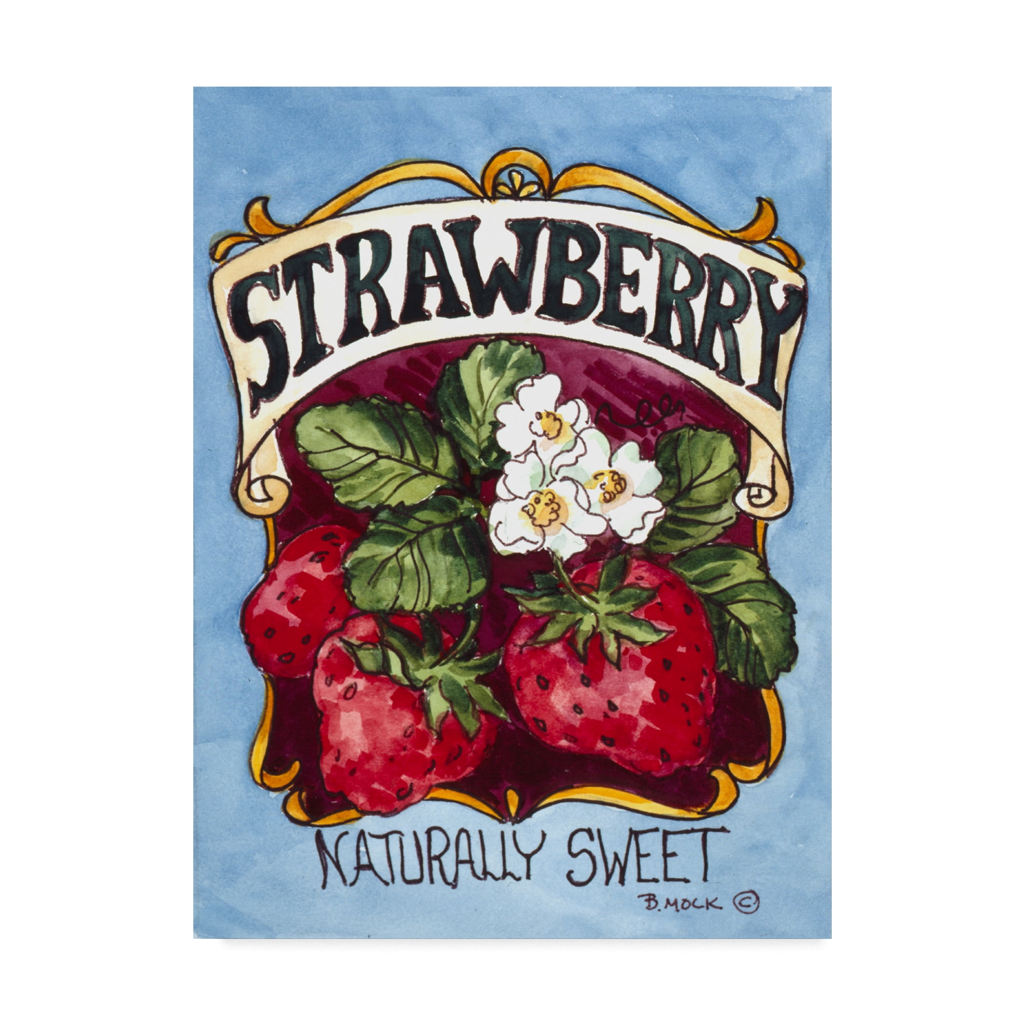 Trademark Fine Art 'Large Strawberry Seed Packet' Canvas Art by Barbara ...