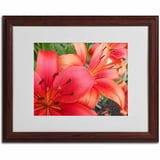 Trademark Fine Art "Lehua" Canvas Art by Monica Fleet, White Matte ...