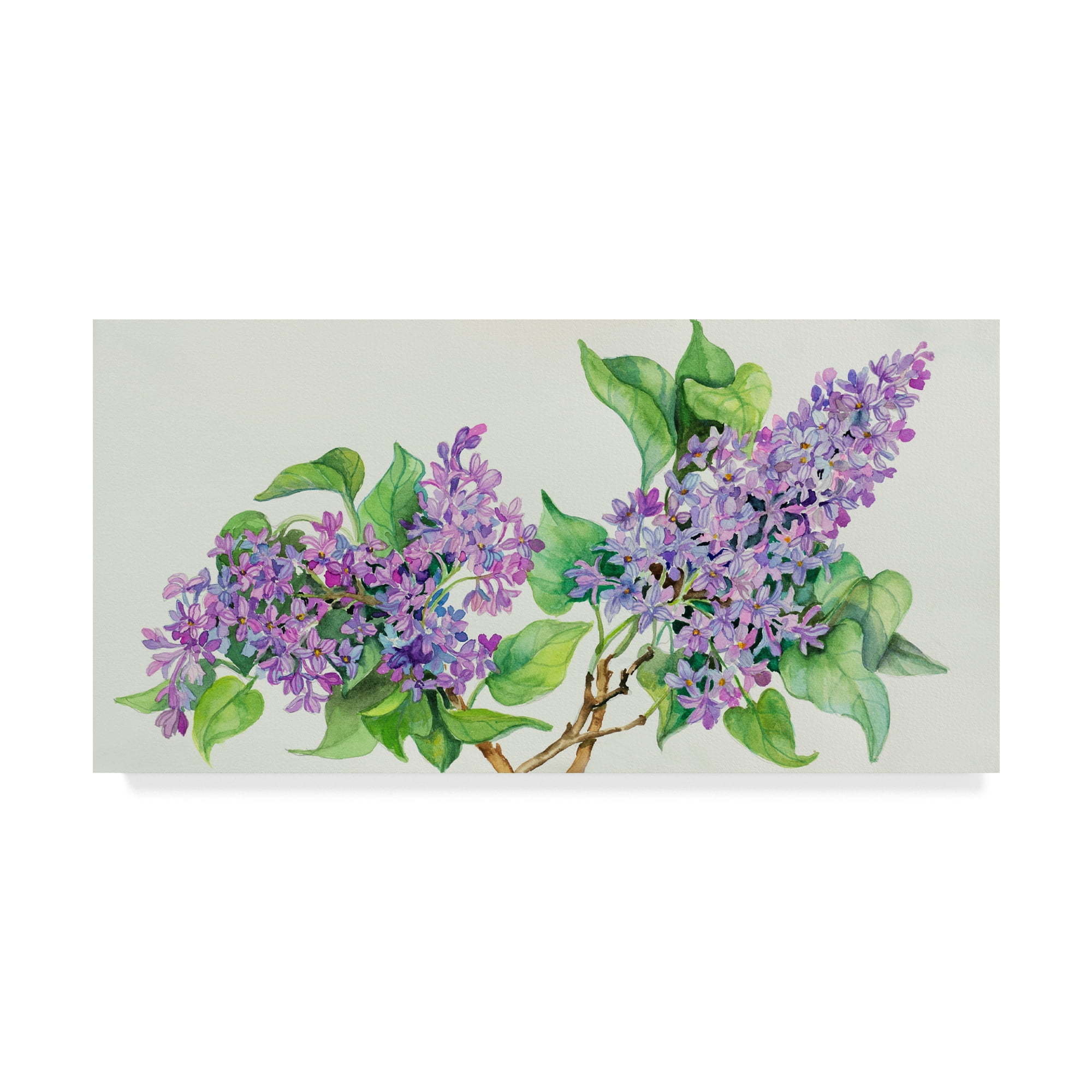 Trademark Fine Art 'Lilac Sprigs' Canvas Art by Joanne Porter - Walmart.com