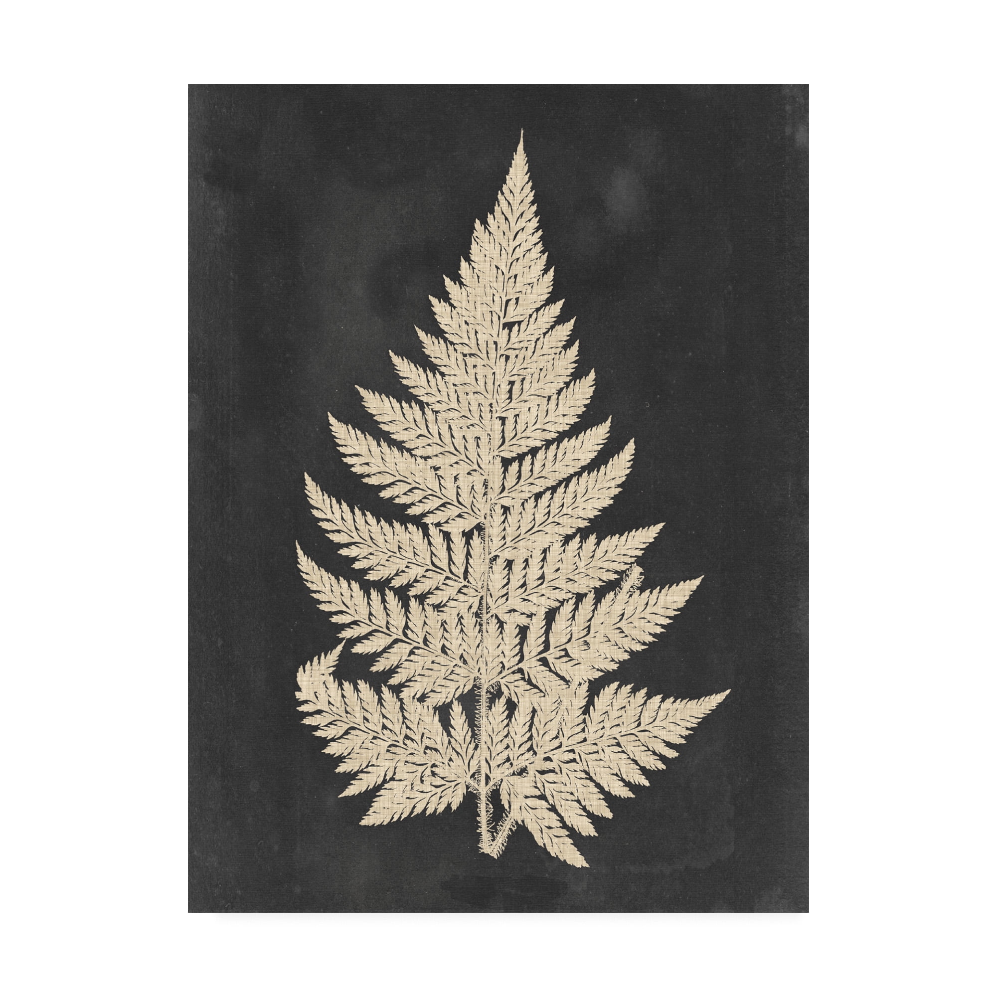 Trademark Fine Art 'Linen Fern I' Canvas Art by Vision Studio - Walmart.com