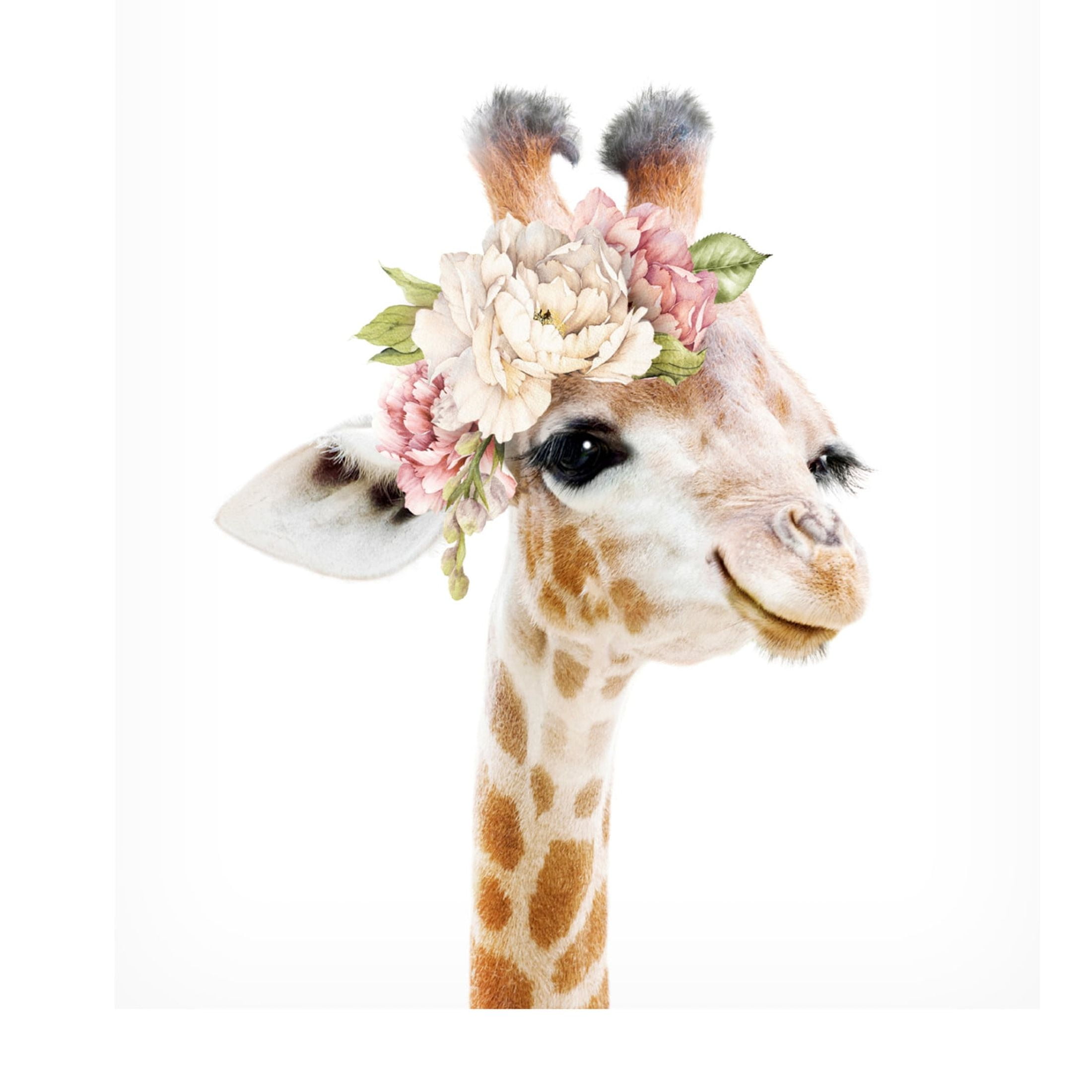 Trademark Fine Art Lola Peacock Floral Baby Giraffe Canvas Wall Art ...