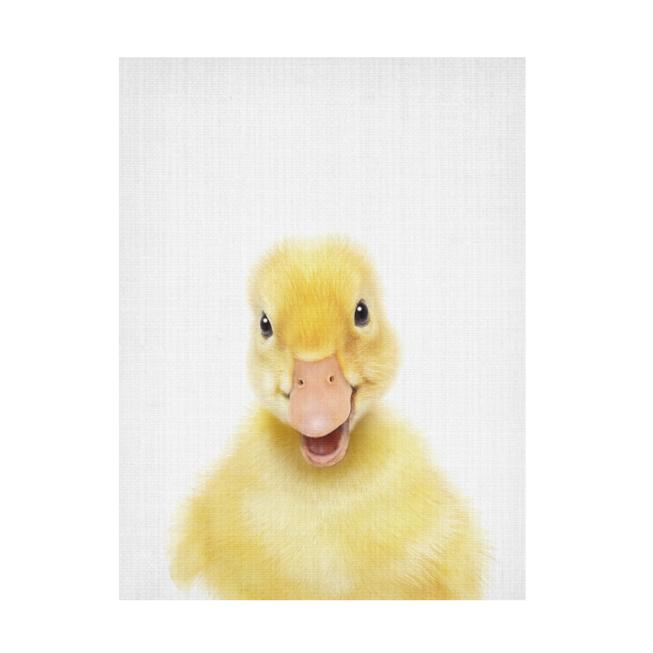 Trademark Fine Art Lola Peacock Peekaboo Baby Duck Canvas Wall Art ...