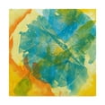 Trademark Fine Art Lotus Monotype II Abstract Wall Art by Carolyn Roth ...