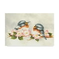 Trademark Fine Art 'Love Is In The Air Birds' Canvas Art by Peggy ...