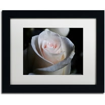 Trademark Fine Art "Lehua" Canvas Art by Monica Fleet, White Matte ...