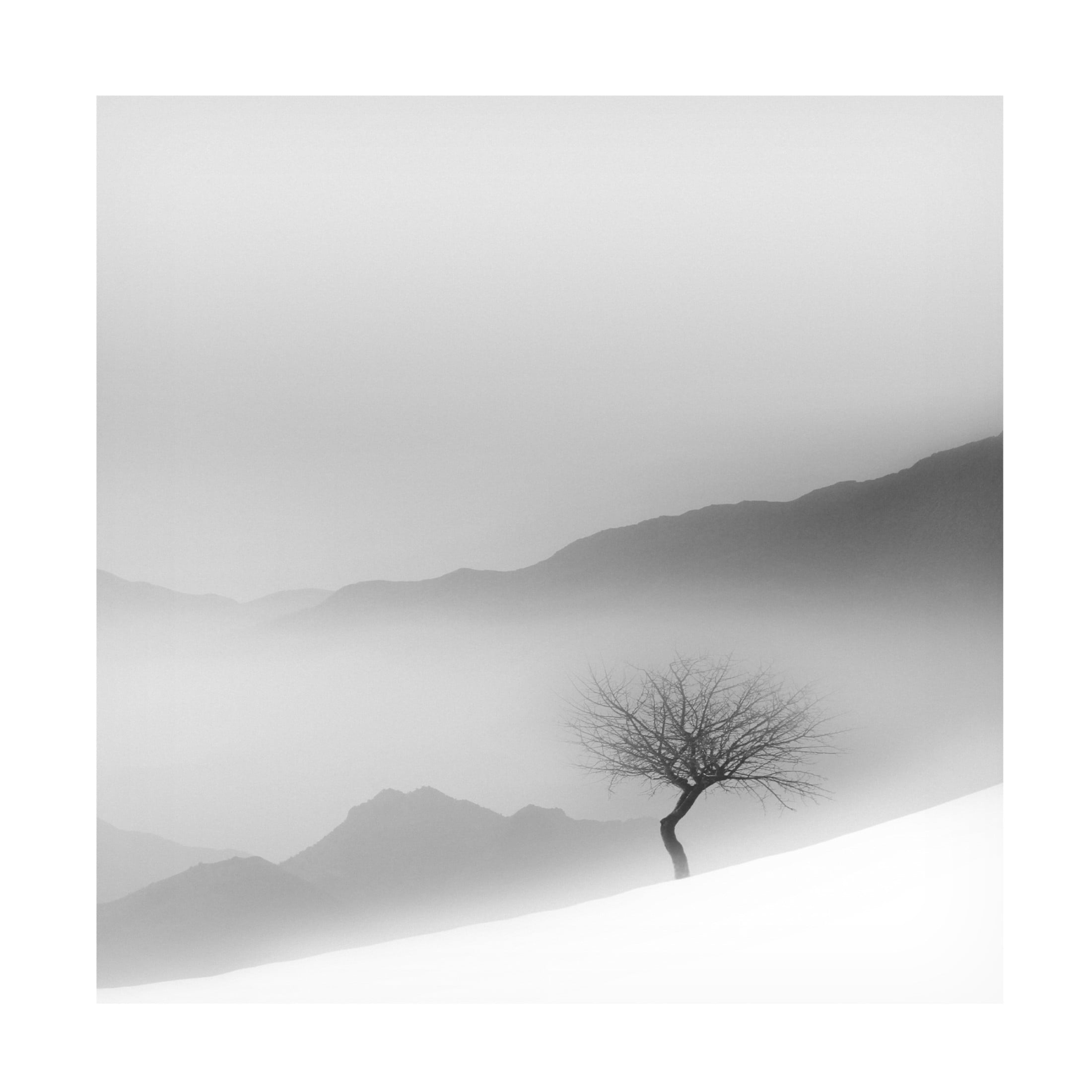 Trademark Fine Art MOSTAFA NODEH Cold Canvas Wall Art - Walmart.com