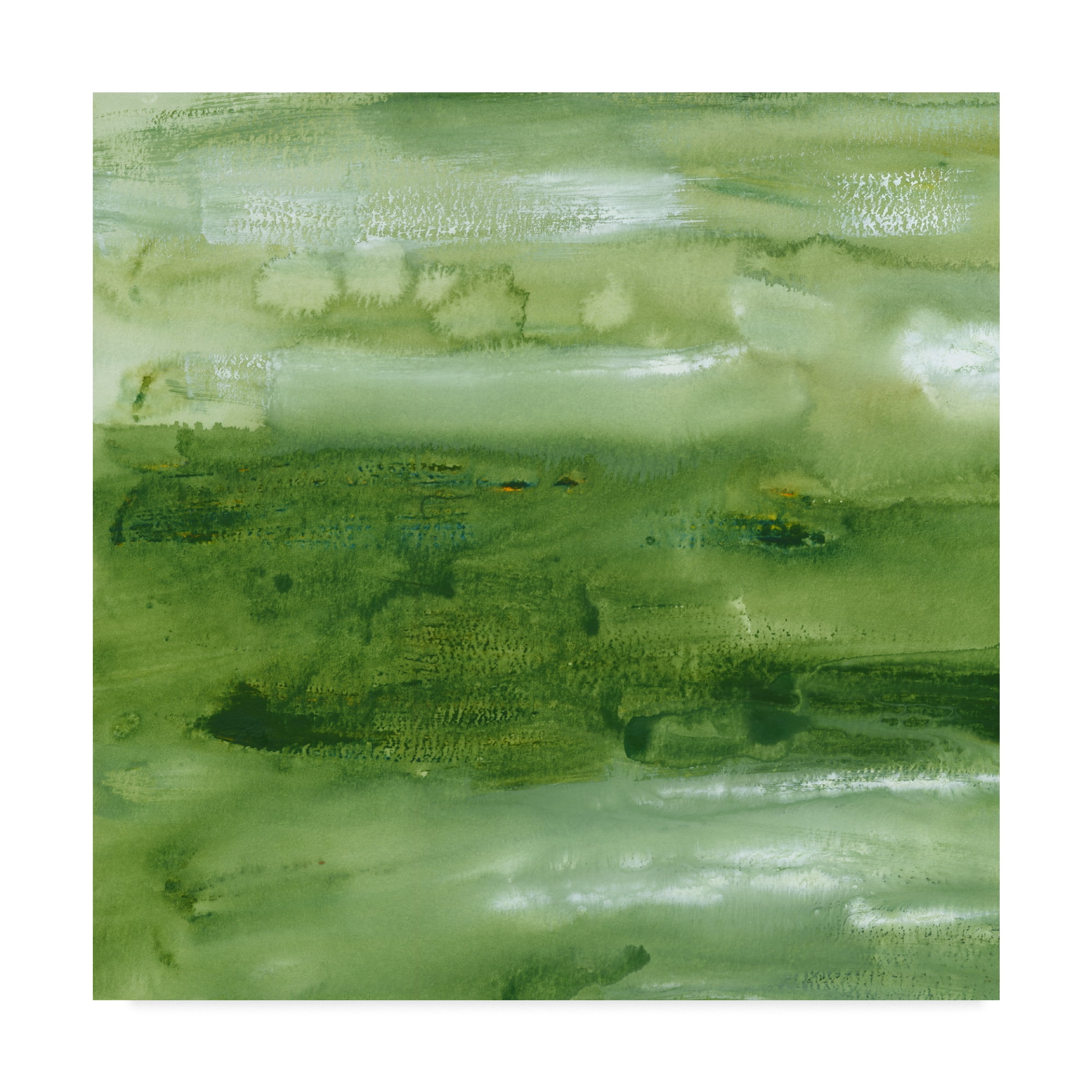 Trademark Fine Art 'Malachite I' Canvas Art by Lisa Choate - Walmart.com