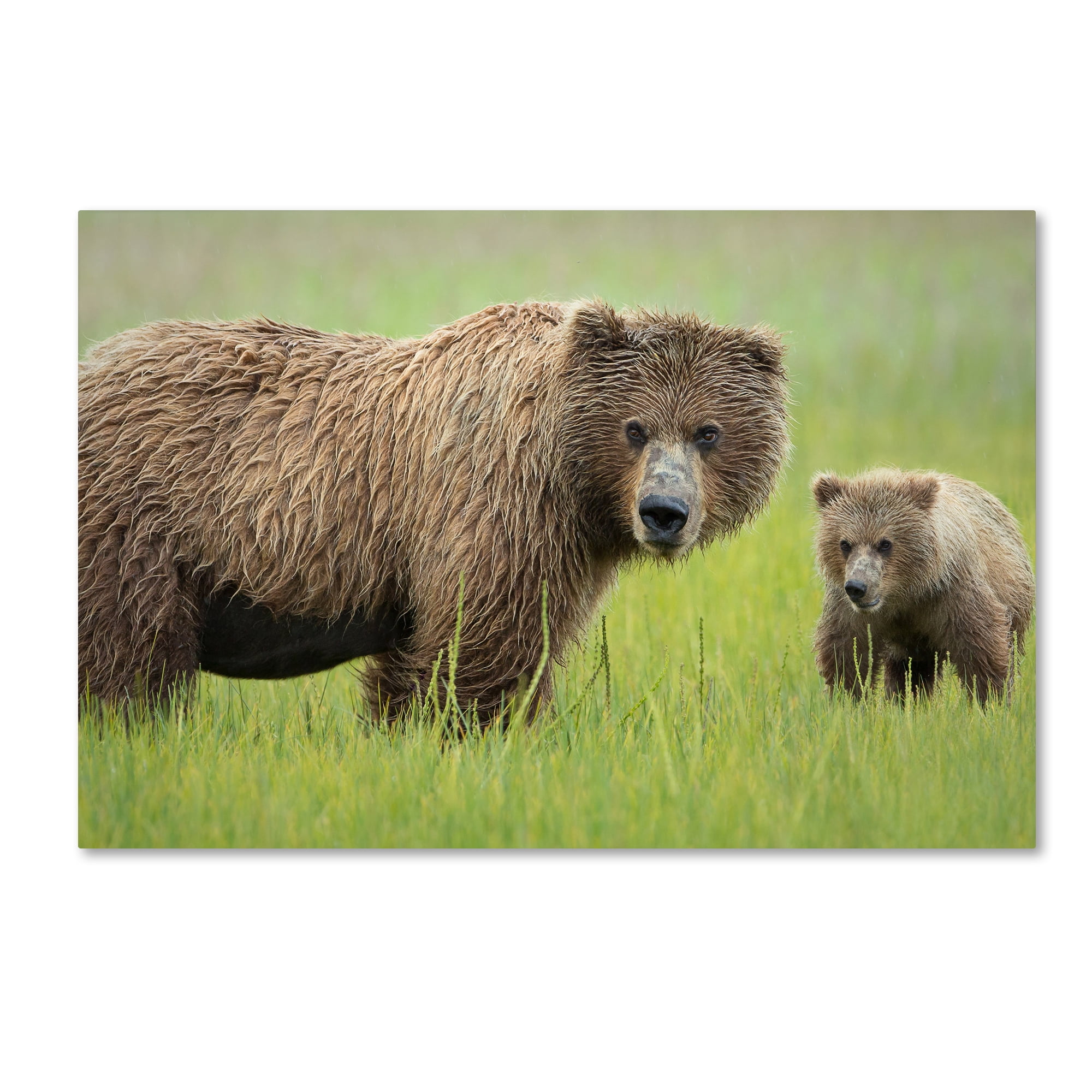 Trademark Fine Art 'Me And Ma' Canvas Art by Renee Doyle - Walmart.com